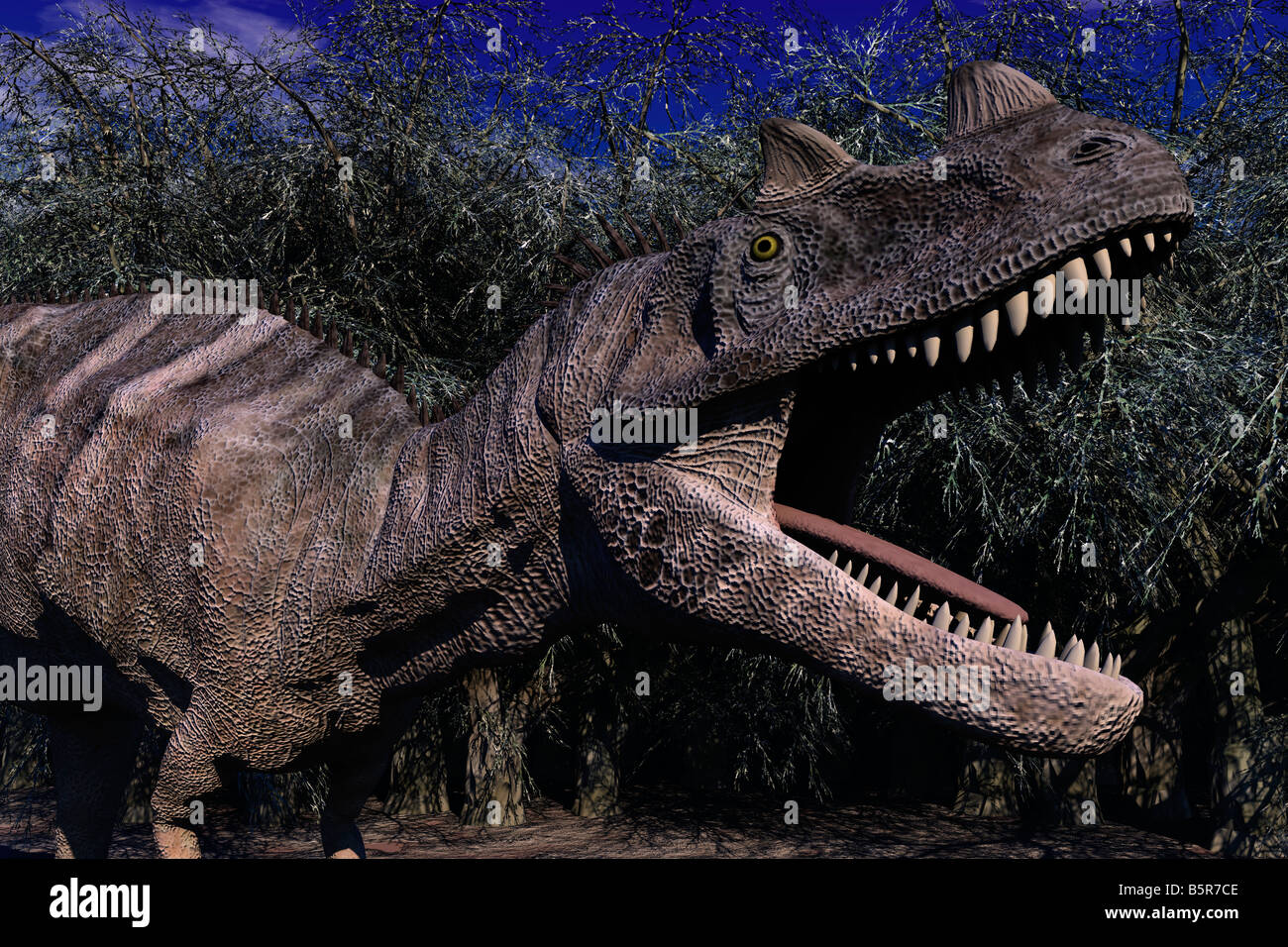 Ceratosaurus hi-res stock photography and images - Alamy