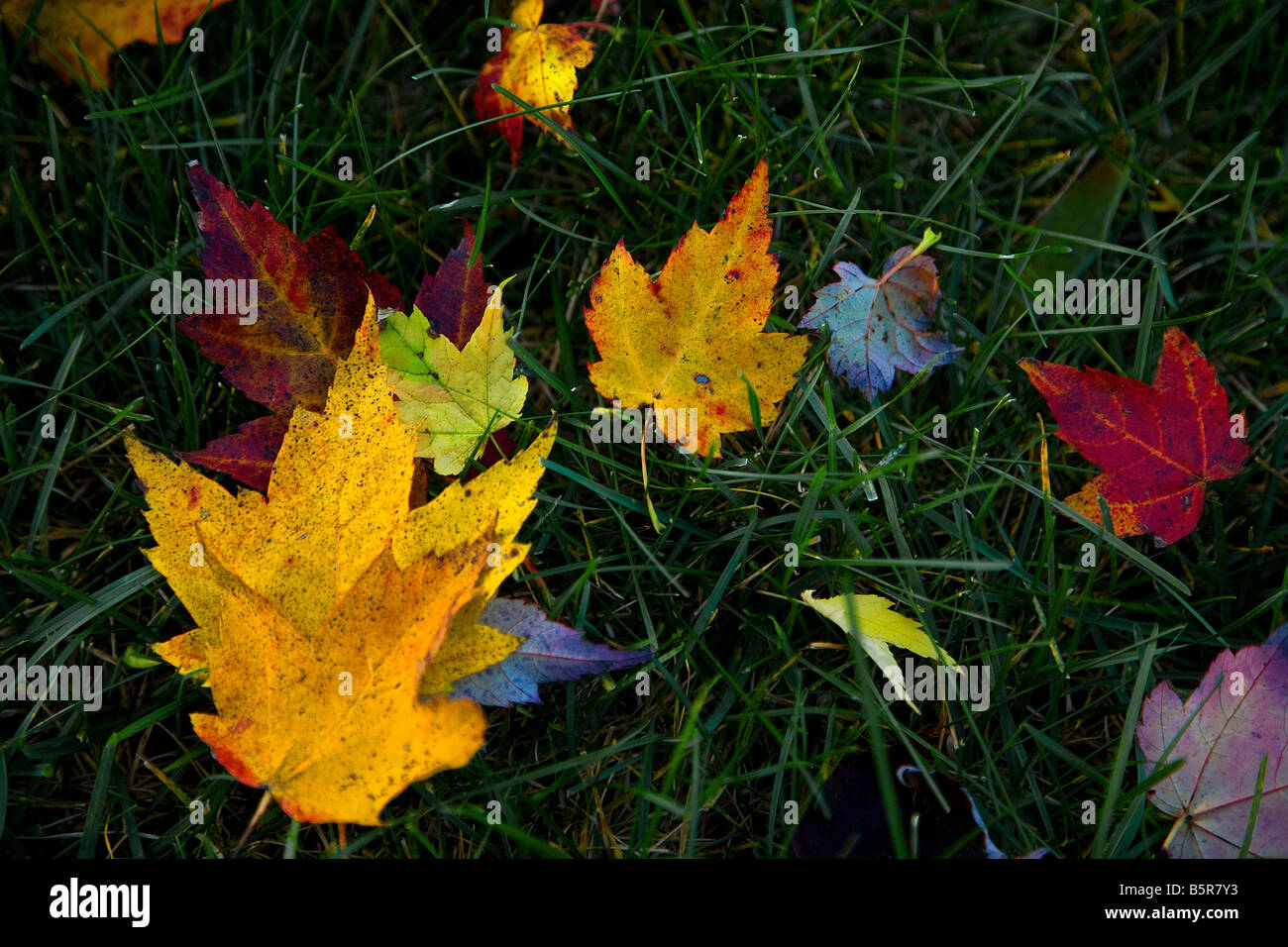 October colors hi-res stock photography and images - Alamy