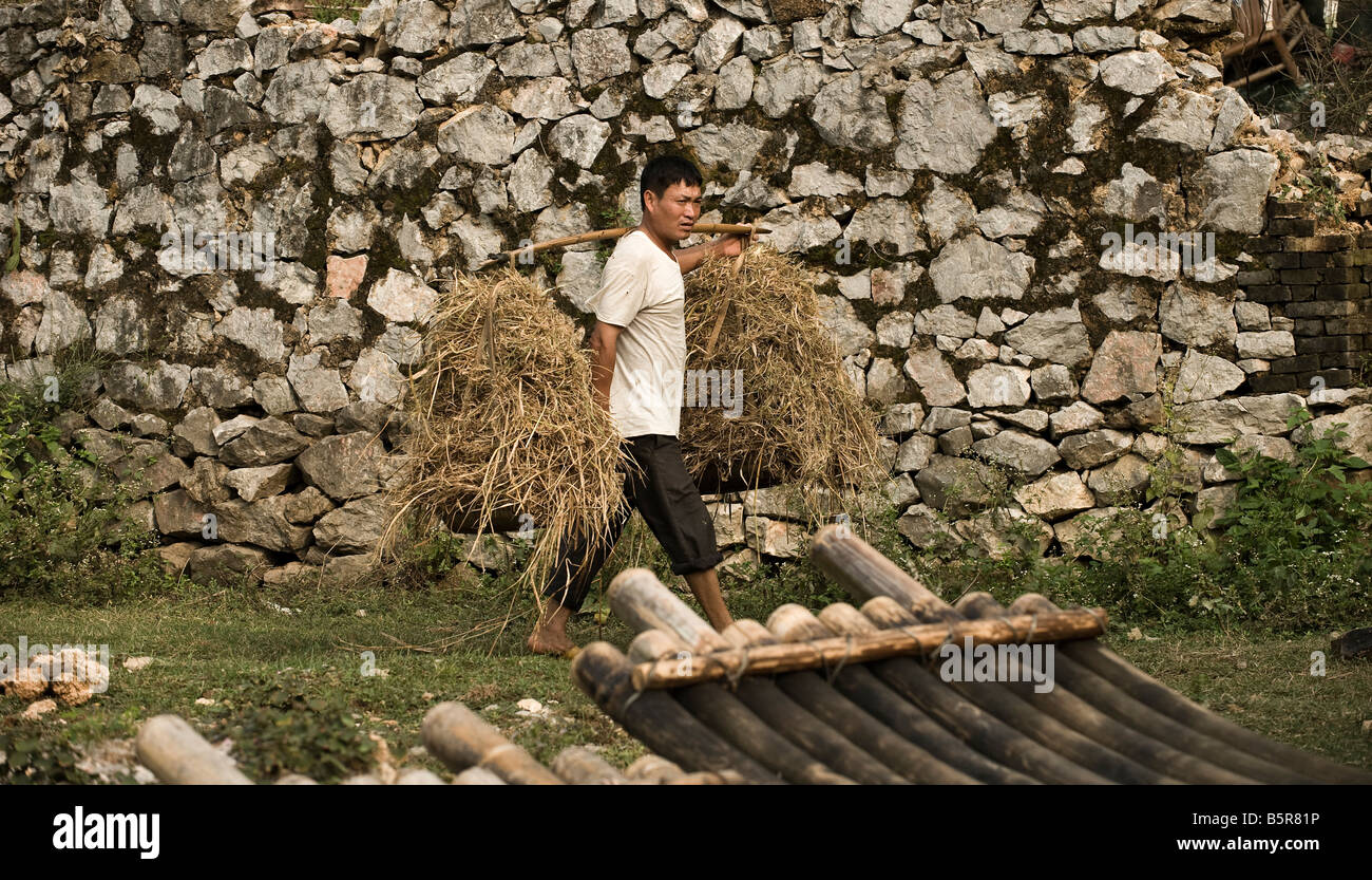 Chinese man carrying rice straw through traditional village of yangshuo ...