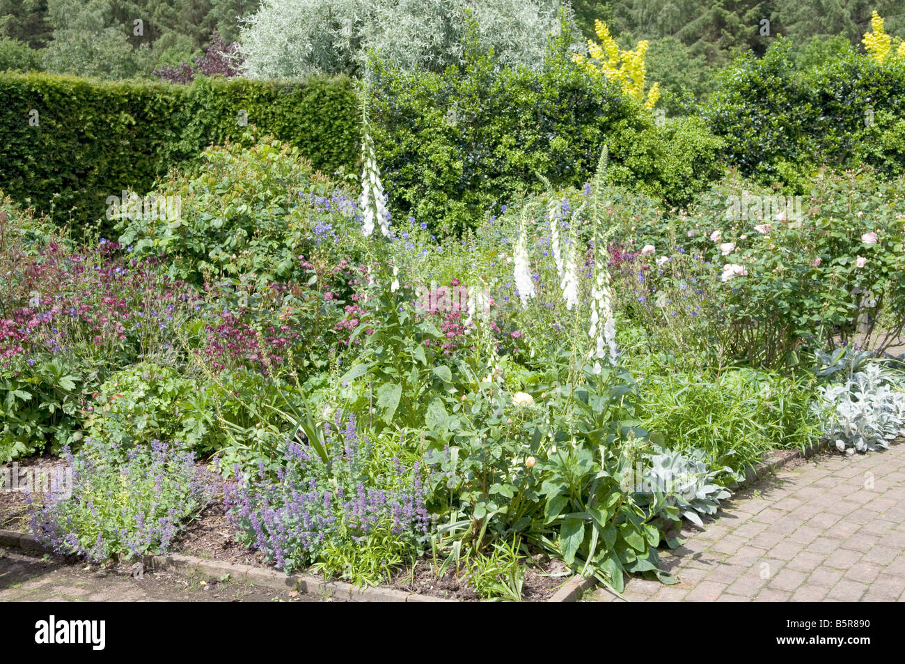 Spring border of various plants Stock Photo - Alamy