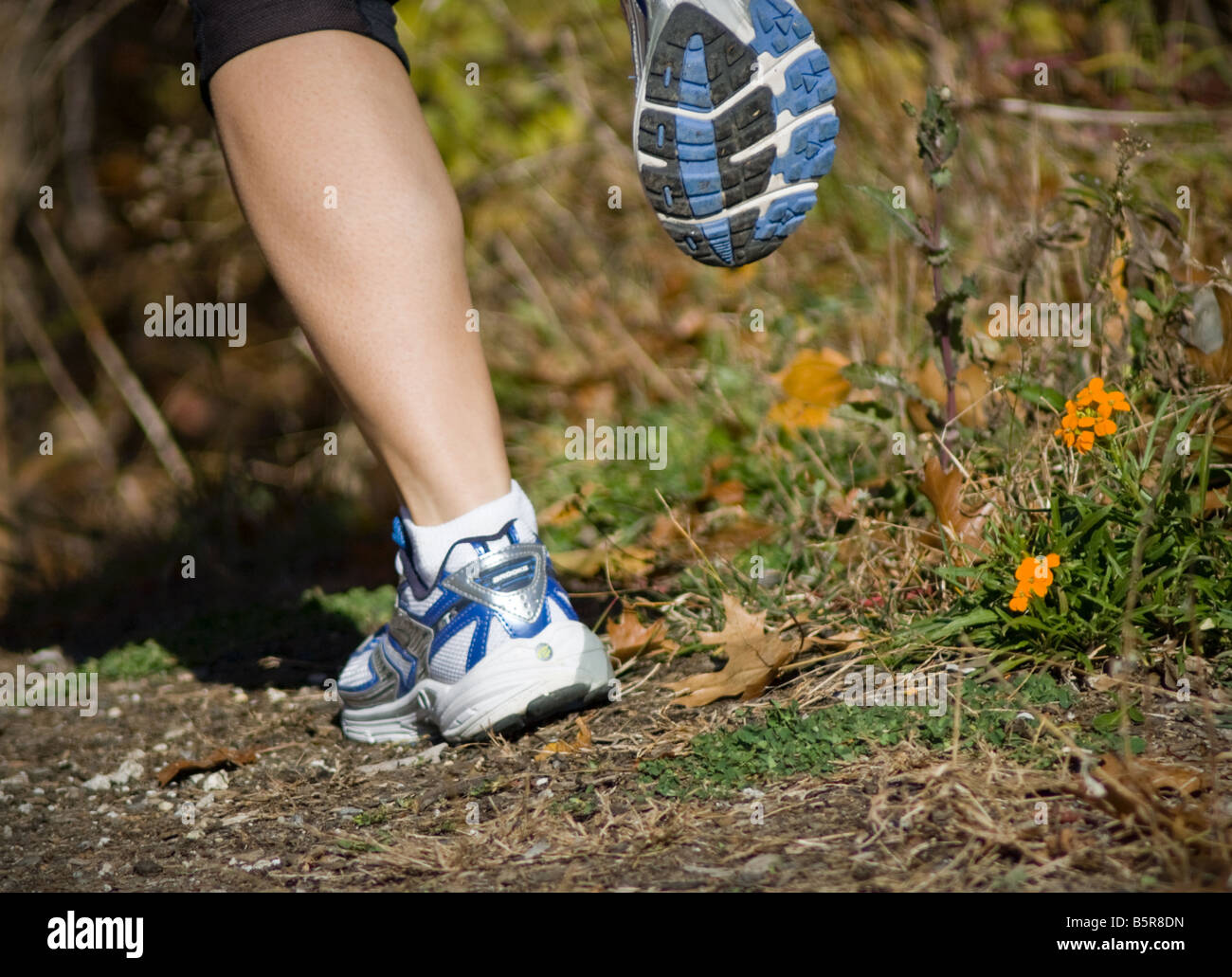Close-up of woman trail runner's feet passing wildflowers Stock Photo ...