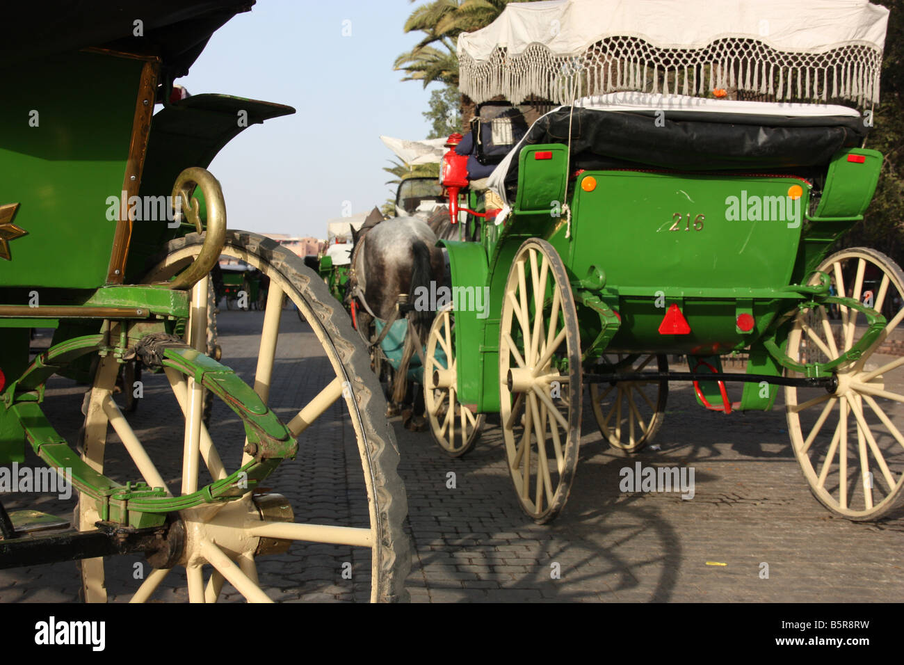 Arab horse morocco hi-res stock photography and images - Alamy