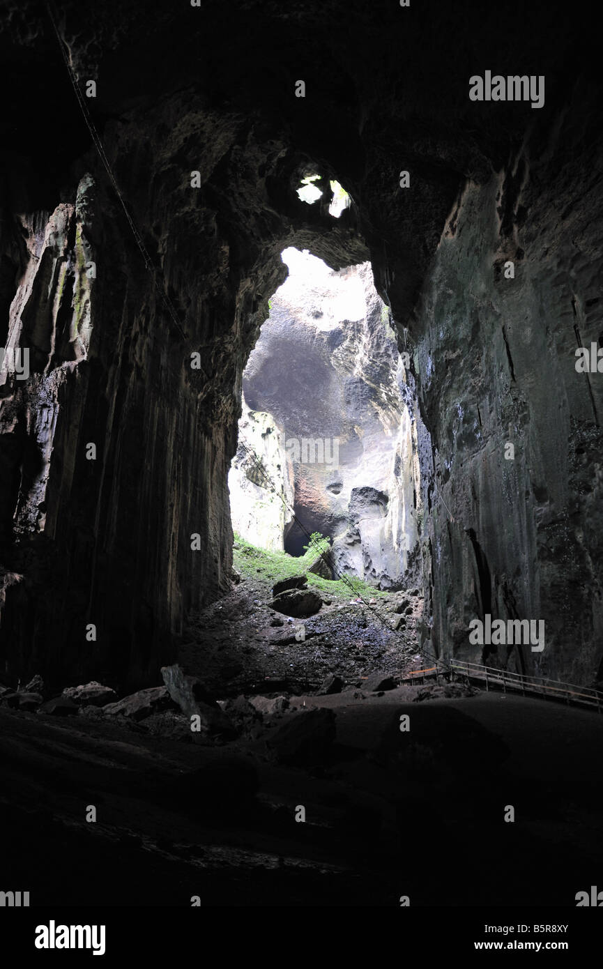 Gomantong Cave, Sabah, Borneo, location of classic source of birds nest ...