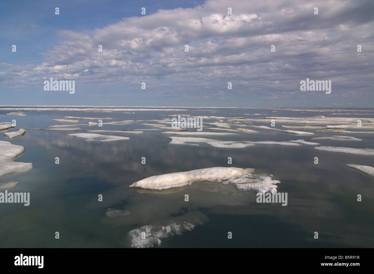 melting shorefast ice in the Beaufort Sea Arctic Ocean off the coast of ...