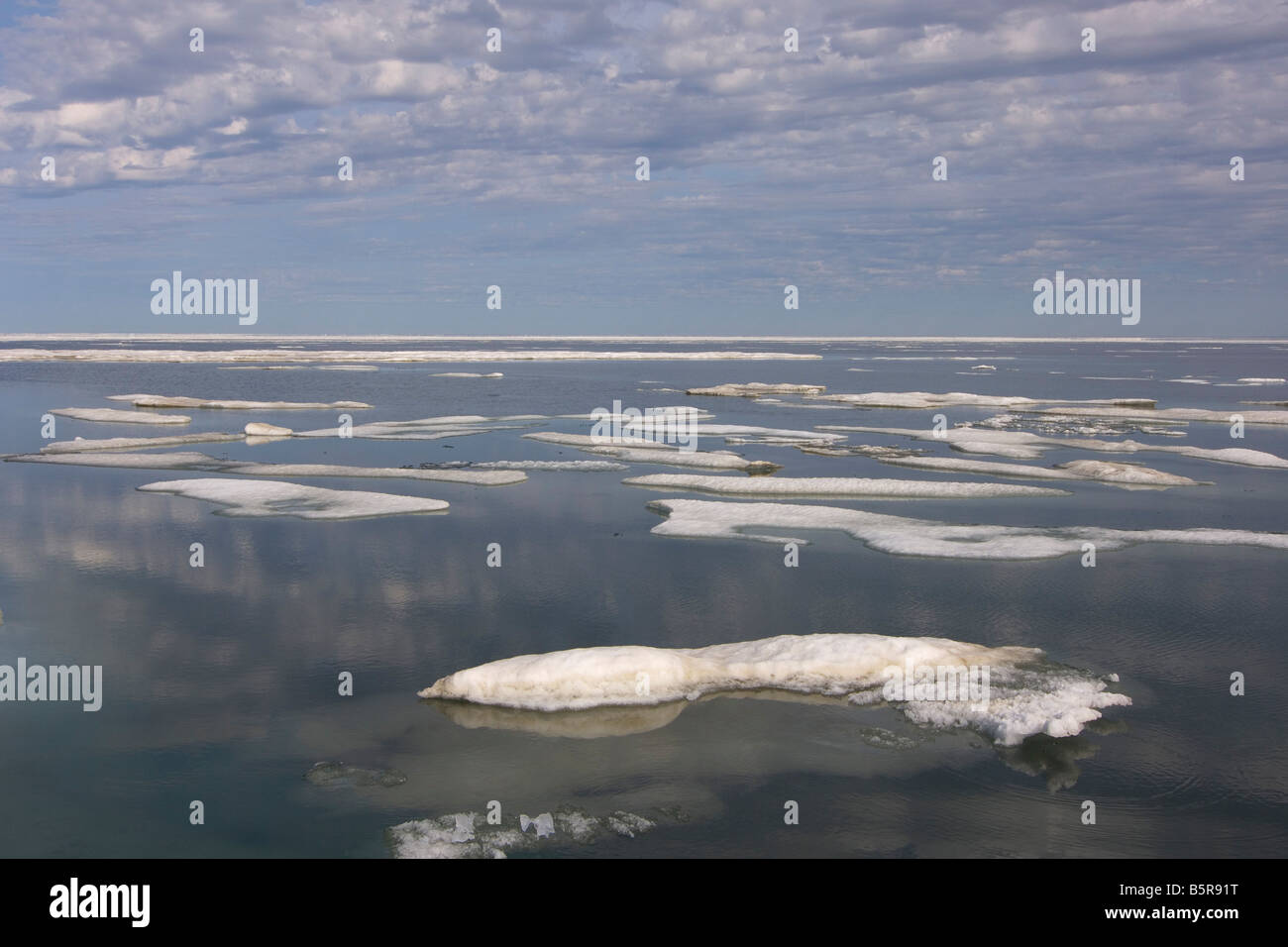 melting shorefast ice in the Beaufort Sea Arctic Ocean off the coast of ...