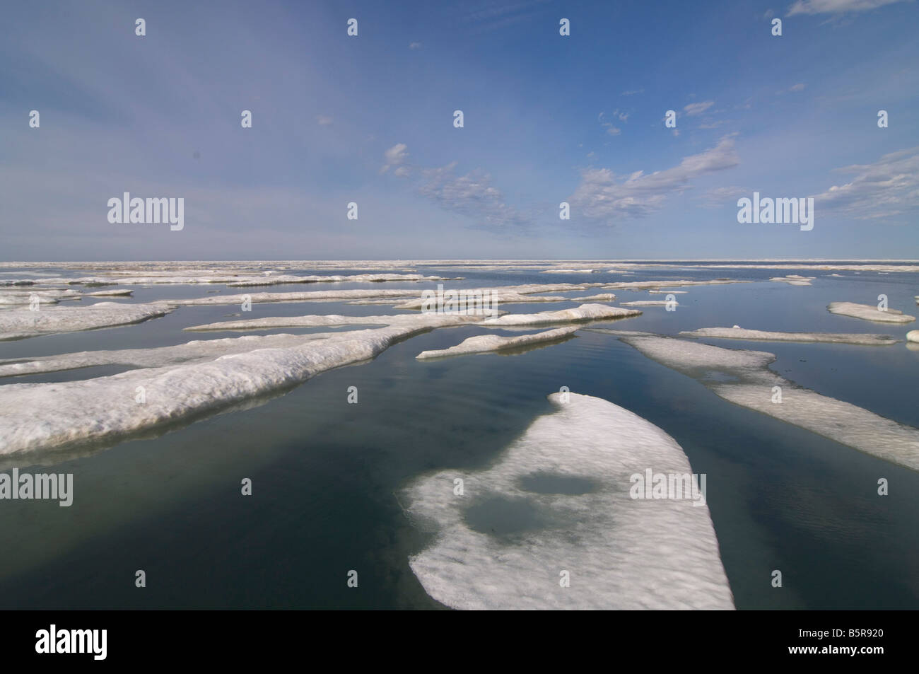 melting shorefast ice in the Beaufort Sea Arctic Ocean off the coast of ...