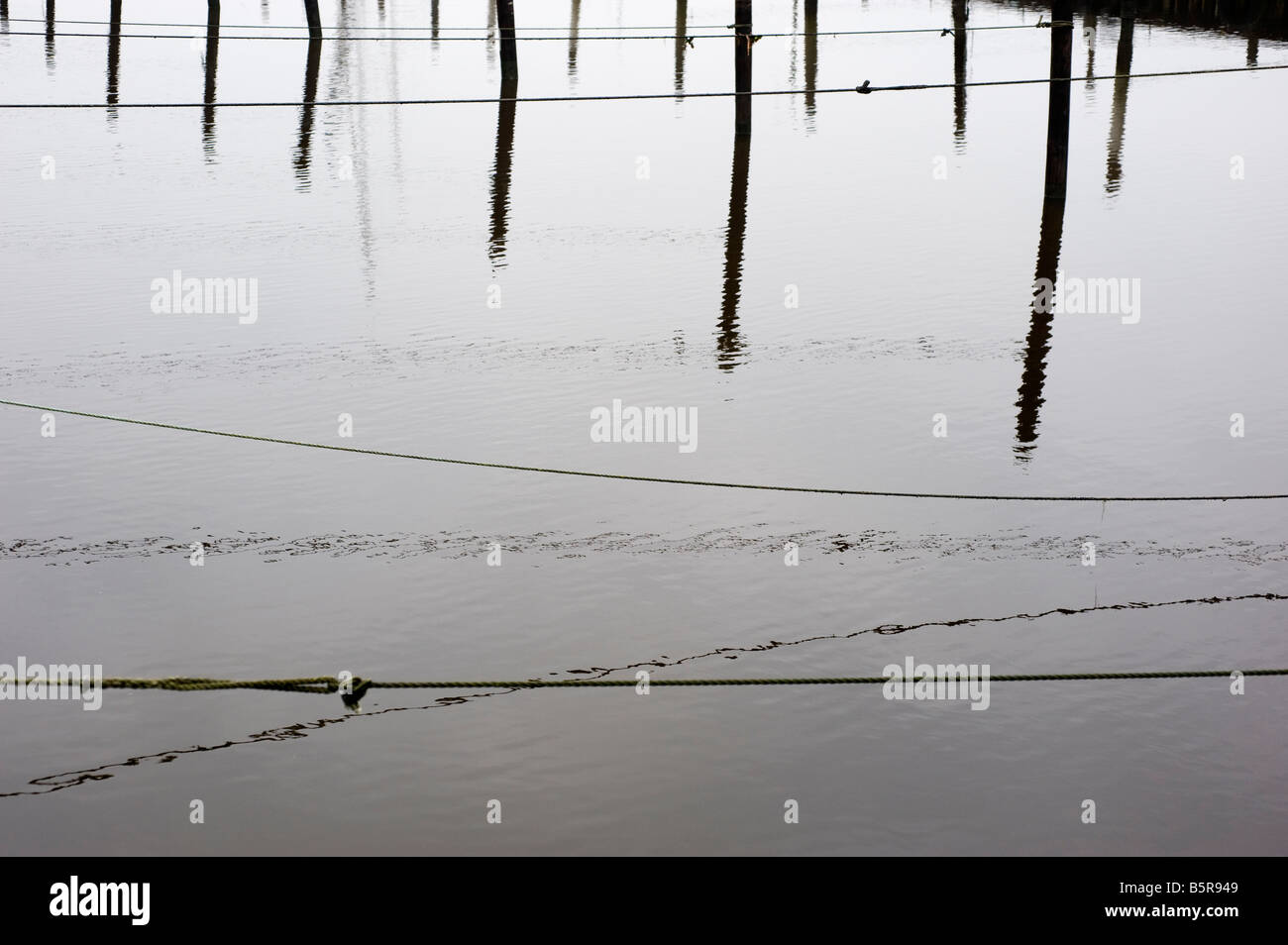 Artistic poles hi-res stock photography and images - Alamy