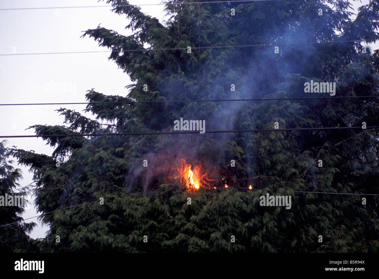 Downed power line fire hi-res stock photography and images - Alamy