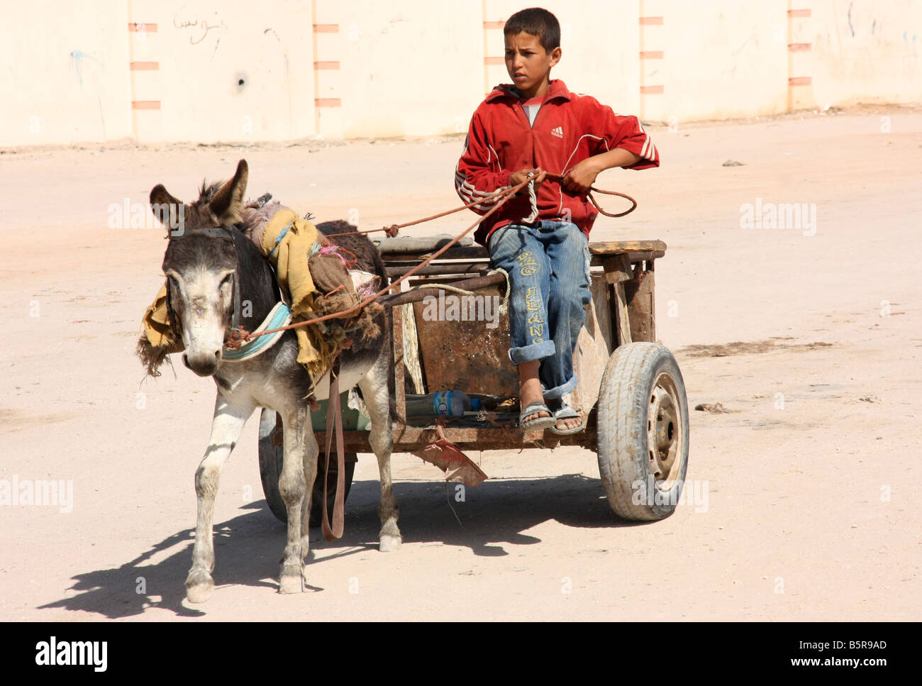 Donkey cart and driver in deserted streets of Dakhla Western Sahara ...