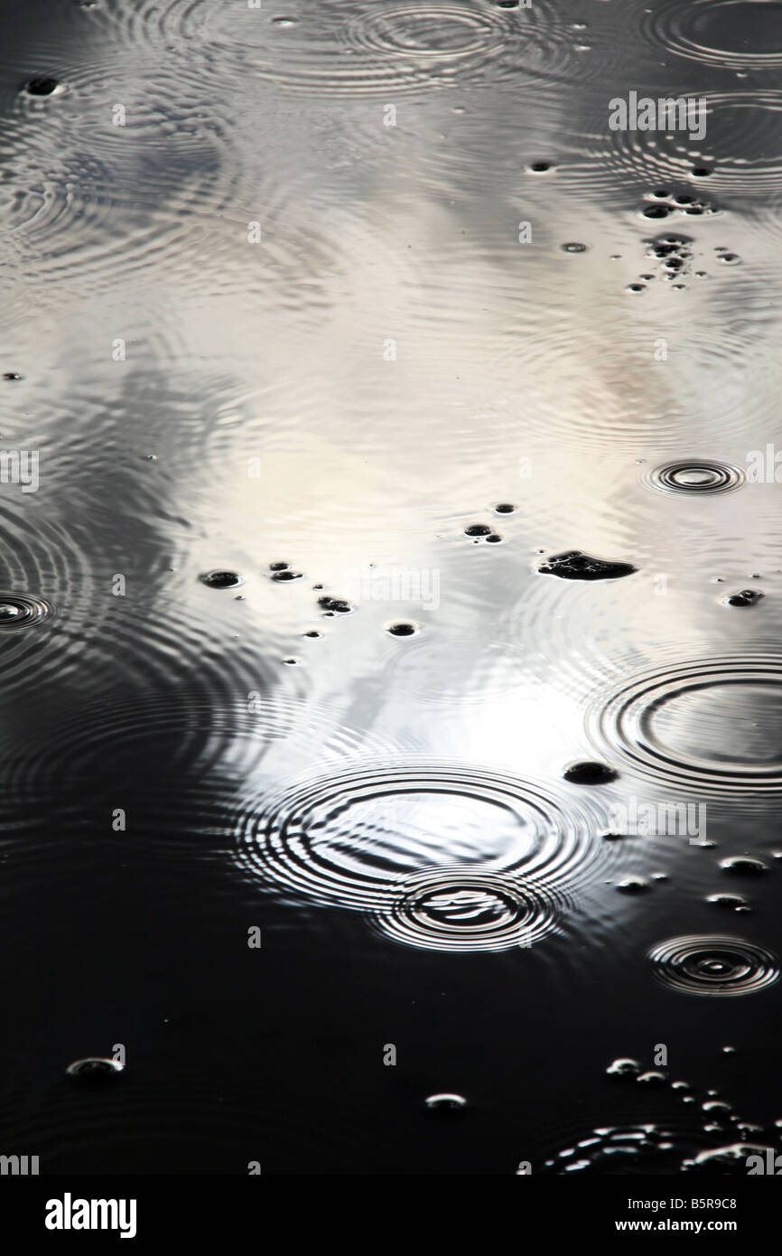 rain drops falling in cold blue water puddle in street at night Stock ...
