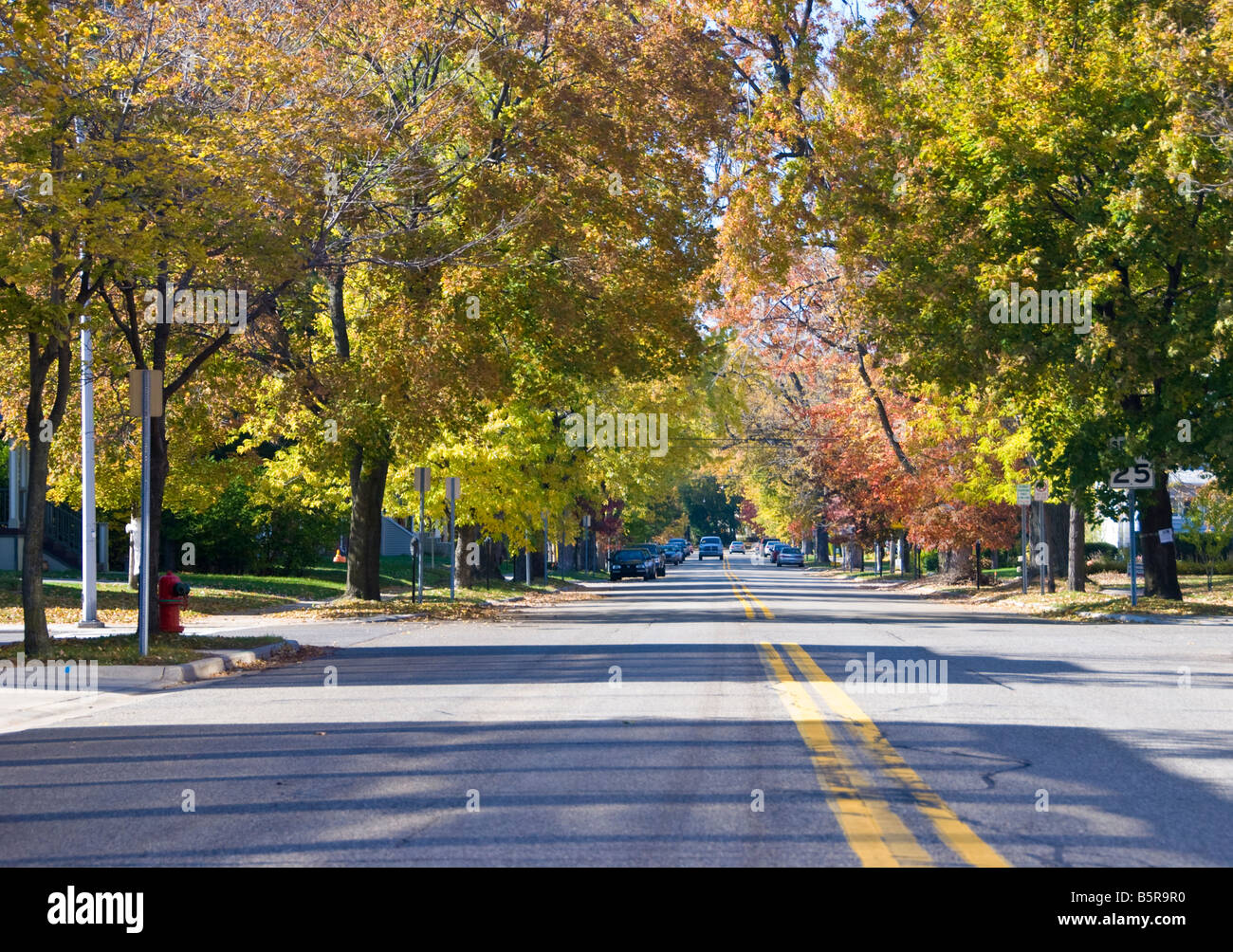 View down center of residential street with trees on both sides in full ...