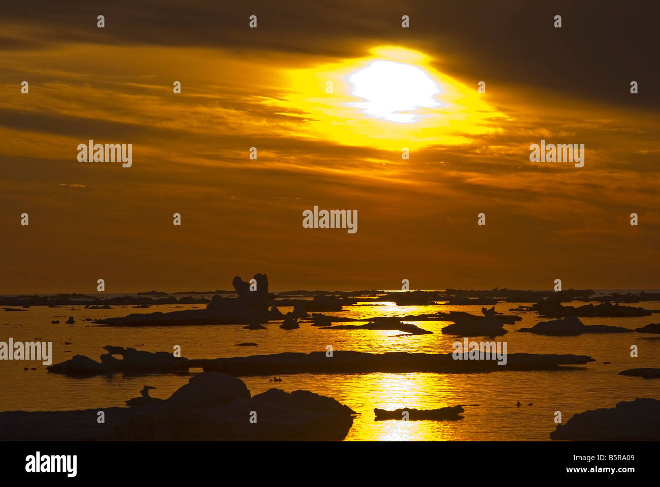 melting shorefast ice in the Beaufort Sea at sunset Arctic Ocean off ...