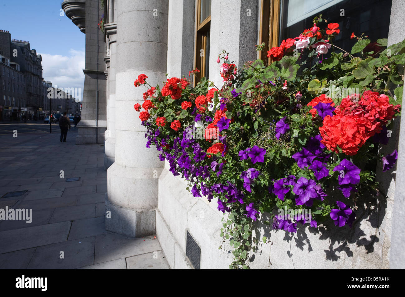 Flowers days in Aberdeen UK Stock Photo - Alamy