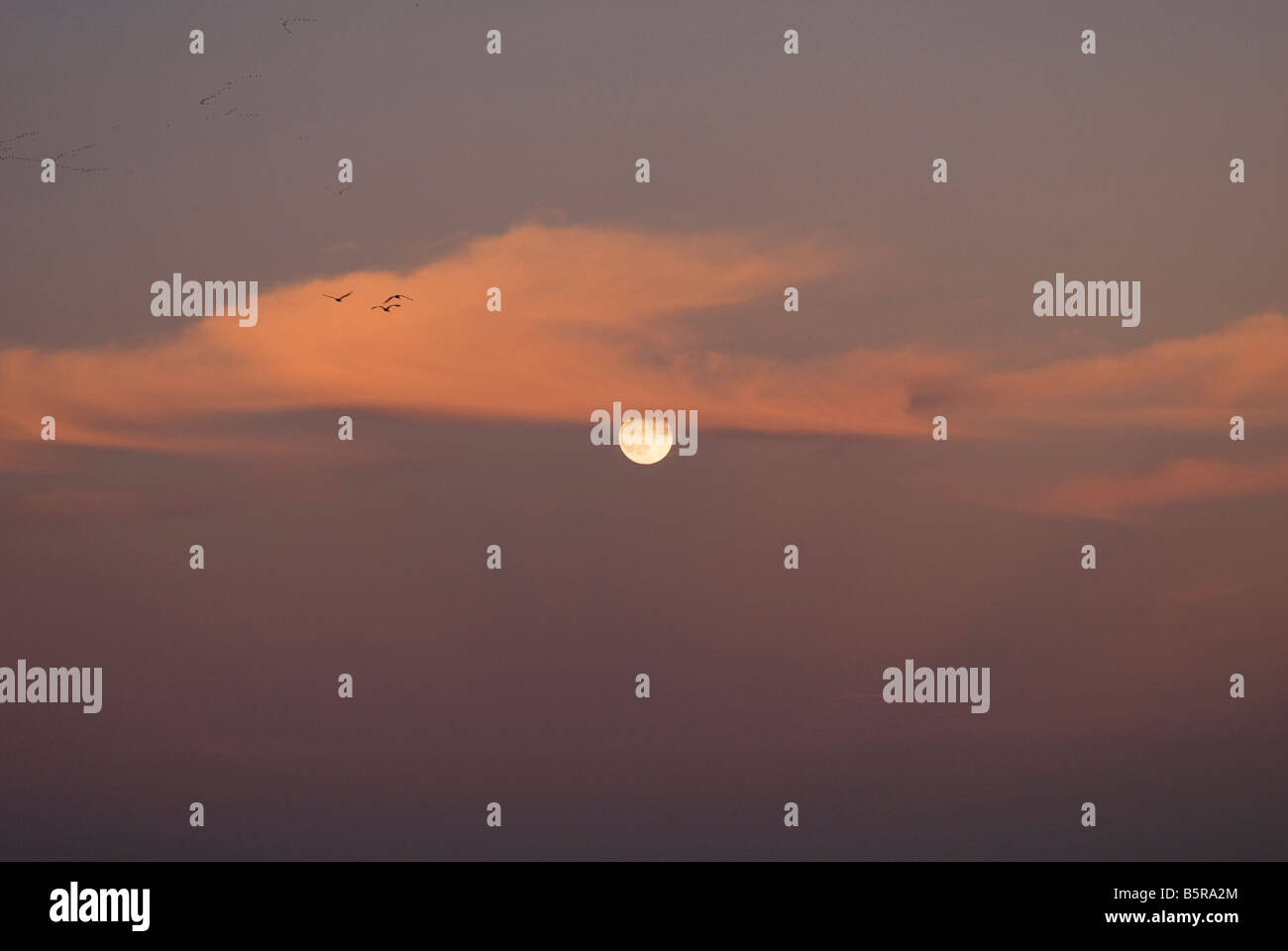 Ecological preserve hi-res stock photography and images - Alamy