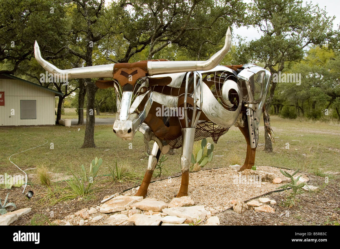 Steel bull Longhorn Stock Photo - Alamy