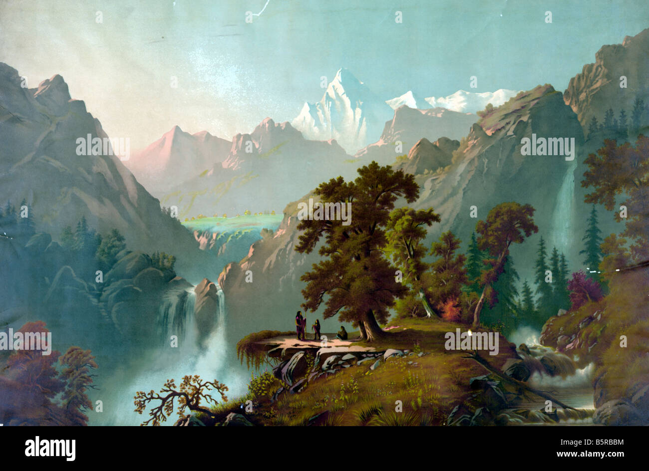 Gavilan hi-res stock photography and images - Alamy