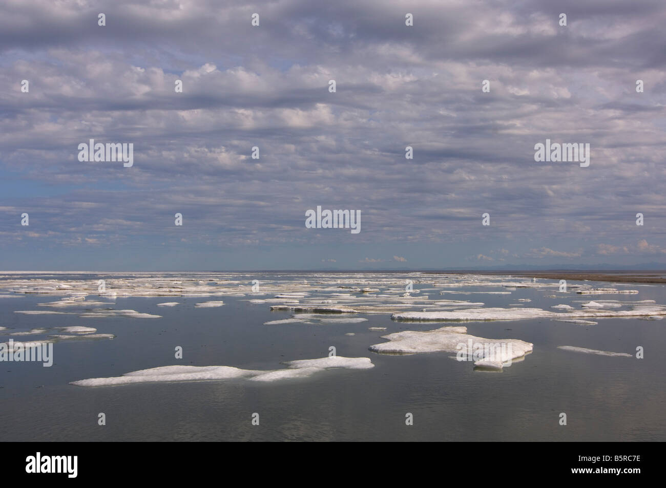 melting shorefast ice in the Beaufort Sea Arctic Ocean off the coast of ...