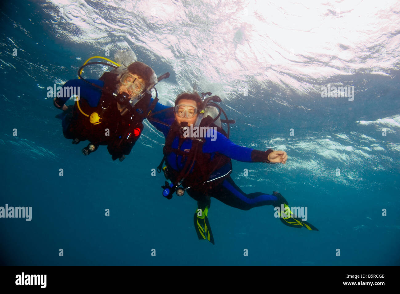 pair of scuba divers underwater near ocean surface Stock Photo - Alamy