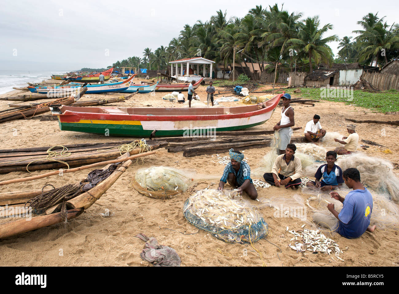 Fishermen sorting fish on Kalapet beach near Pondicherry in India Stock ...