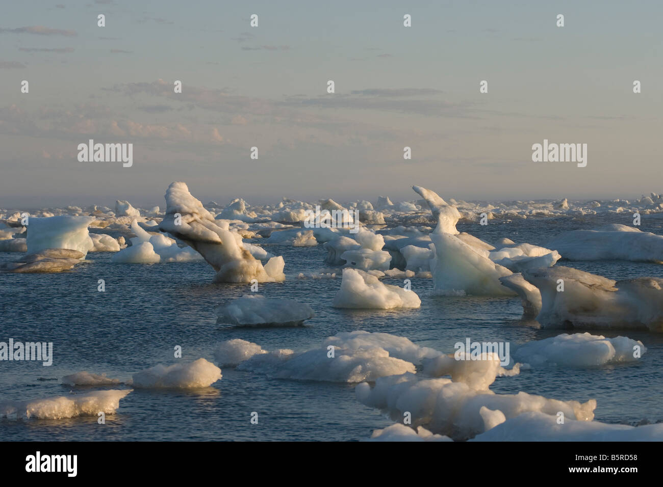 melting shorefast ice in the Beaufort Sea Arctic Ocean off the coast of ...