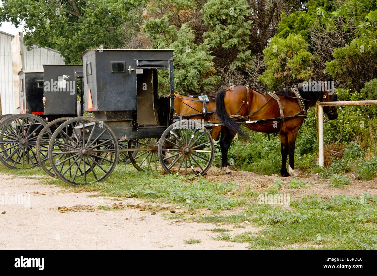 Amish Horse Buggy Stock Photo - Alamy