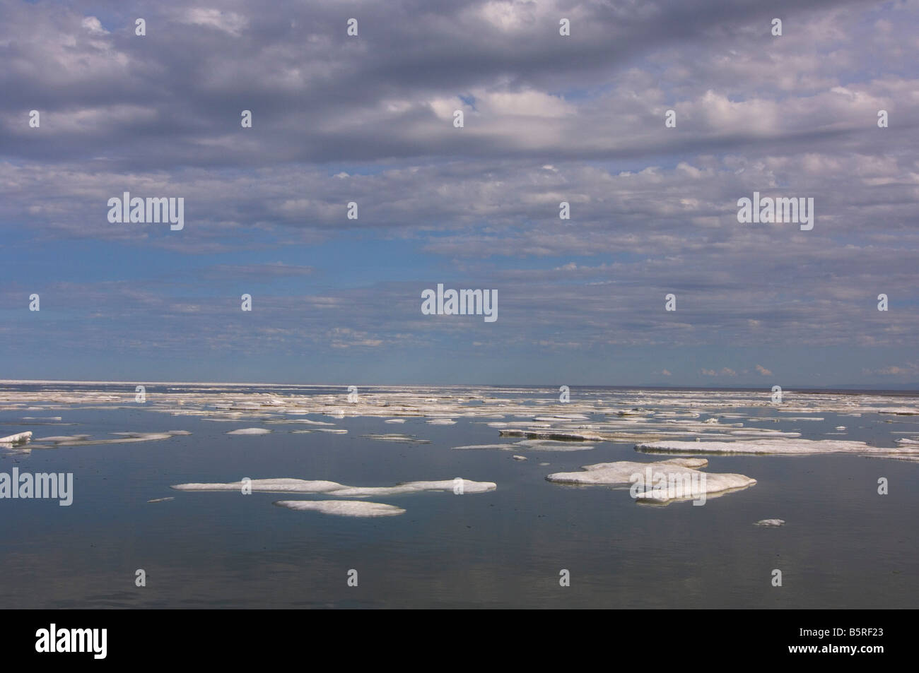melting shorefast ice in the Beaufort Sea Arctic Ocean off the coast of ...