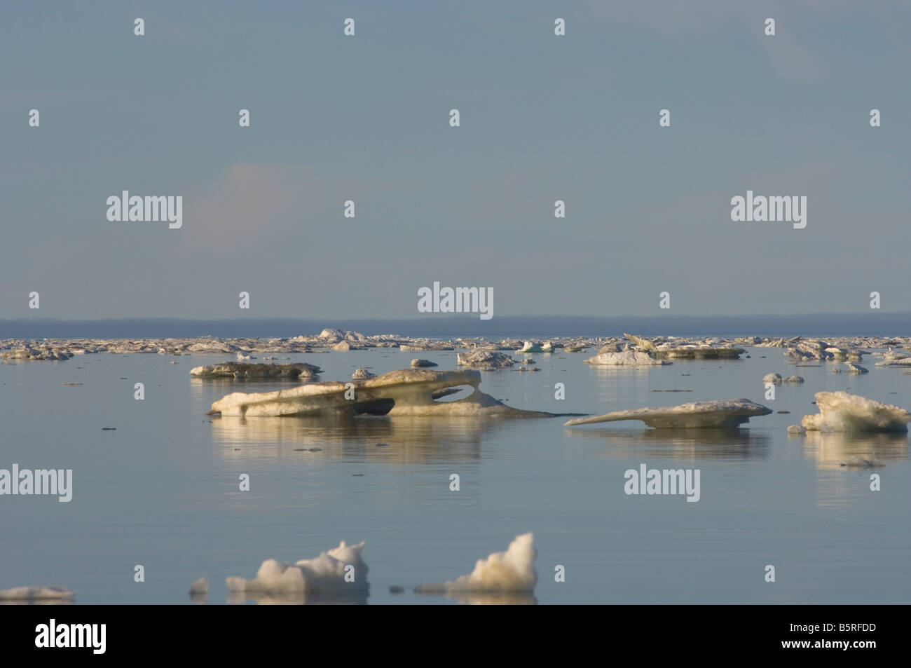 melting shorefast ice in the Beaufort Sea Arctic Ocean off the coast of ...