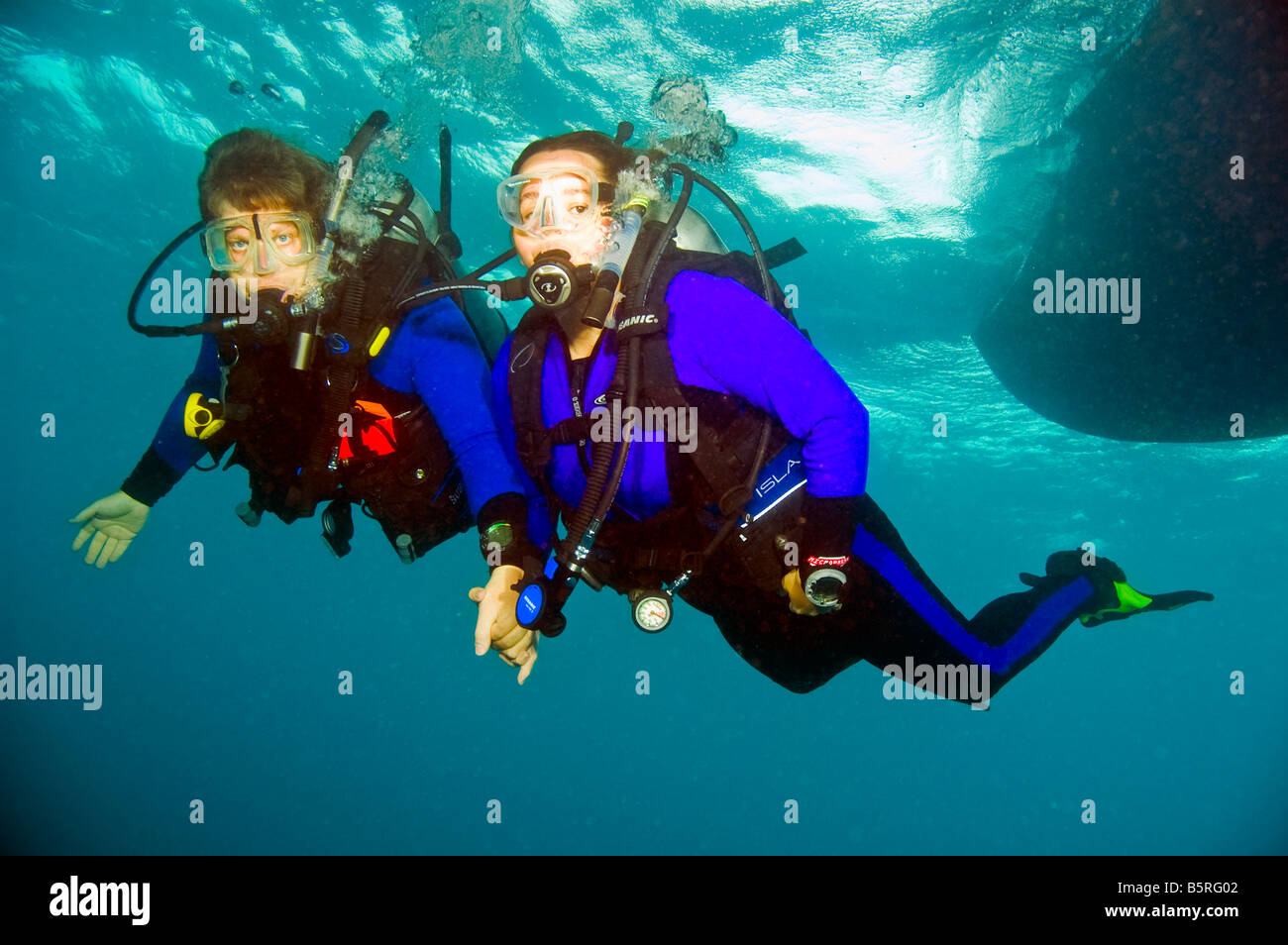 pair of scuba divers underwater near ocean surface Stock Photo - Alamy