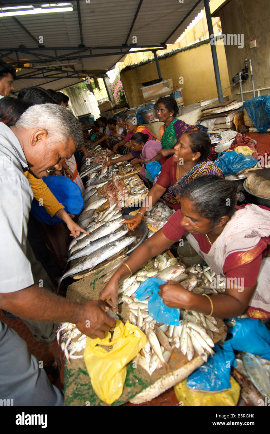 Pondicherry fishmarket in India Stock Photo - Alamy
