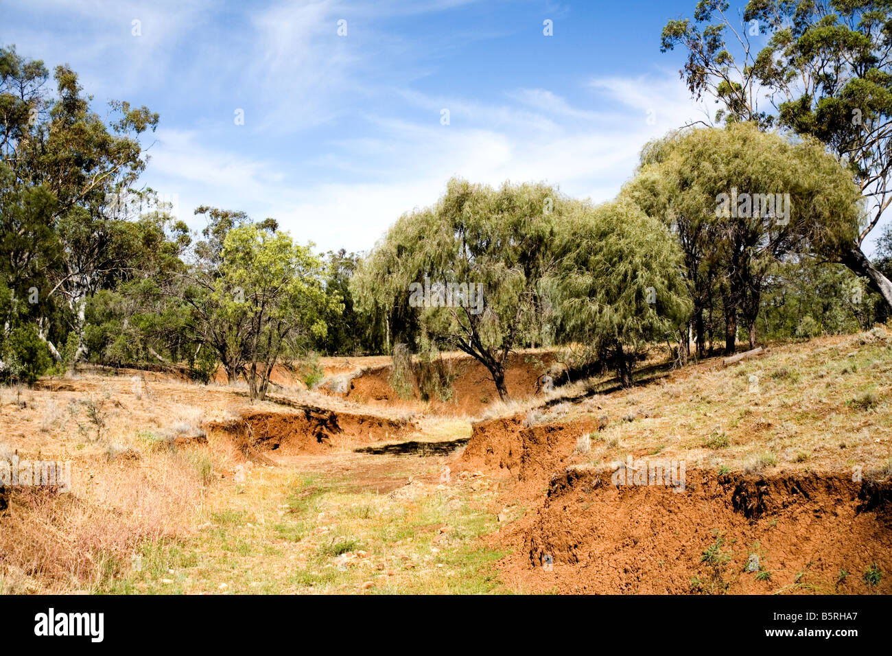 Drought in Australia - this creek is completely dry Stock Photo - Alamy