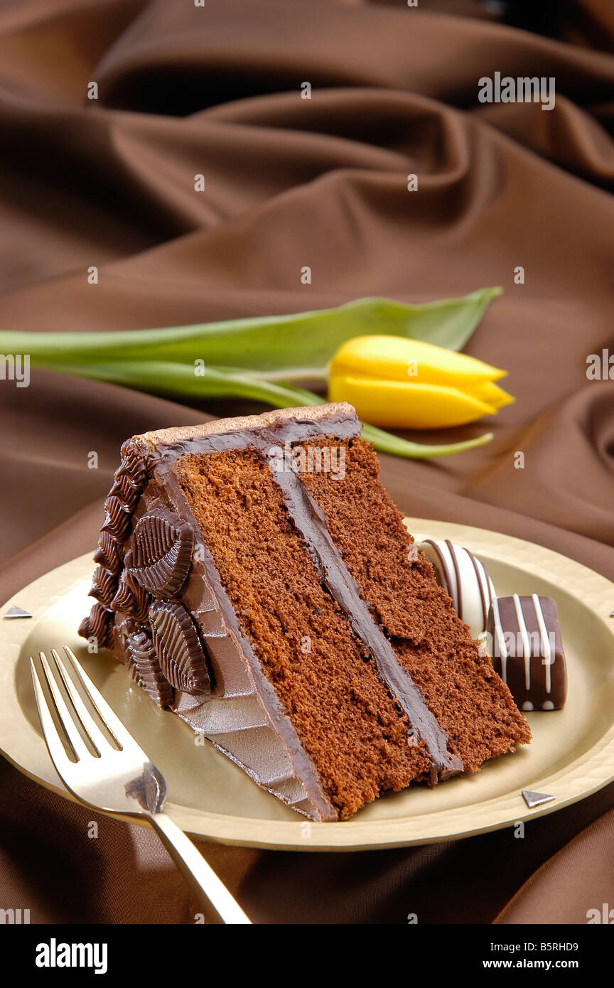 slice of rich chocolate sponge cake Stock Photo - Alamy