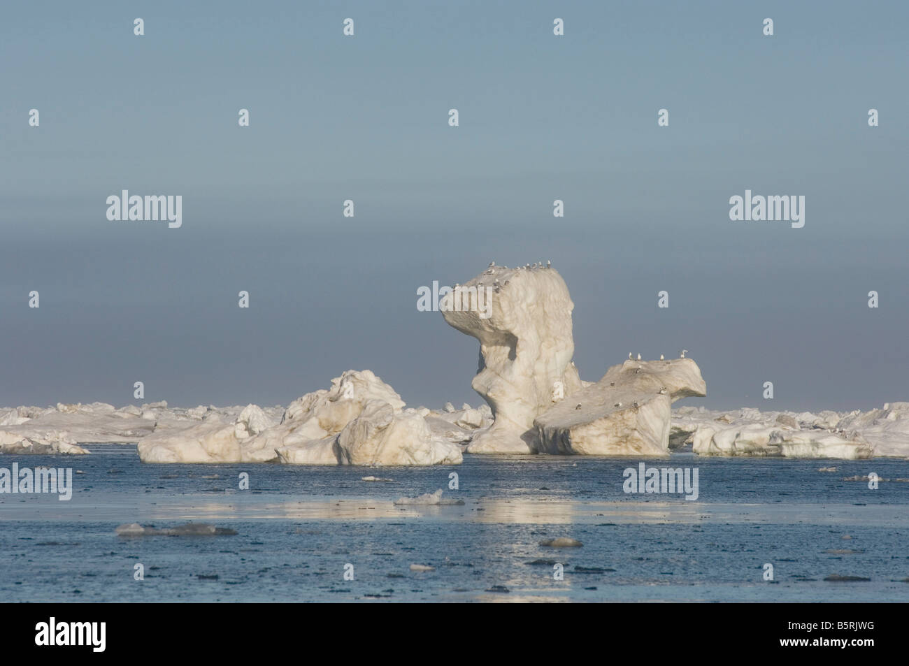 melting shorefast ice in the Beaufort Sea Arctic Ocean off the coast of ...