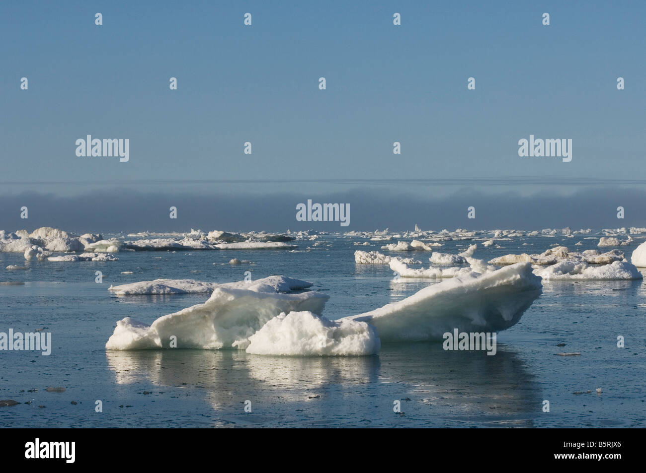 melting shorefast ice in the Beaufort Sea Arctic Ocean off the coast of ...
