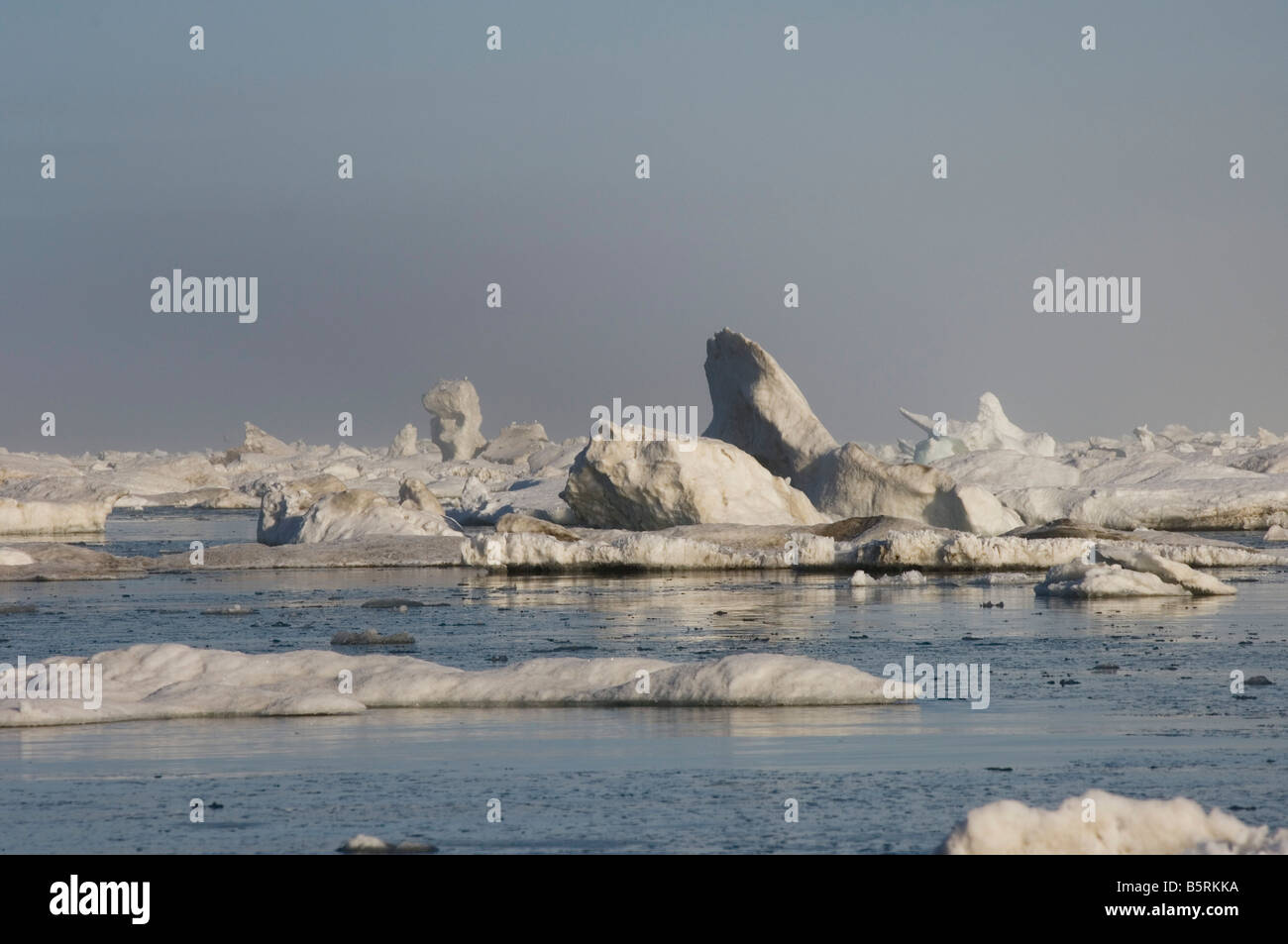 melting shorefast ice in the Beaufort Sea Arctic Ocean off the coast of ...