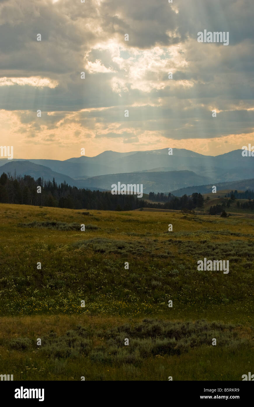 Blacktail plateau hi-res stock photography and images - Alamy