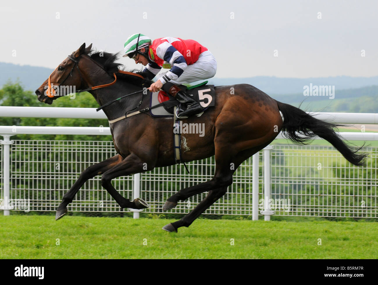 Richard hughes jockey hi-res stock photography and images - Alamy
