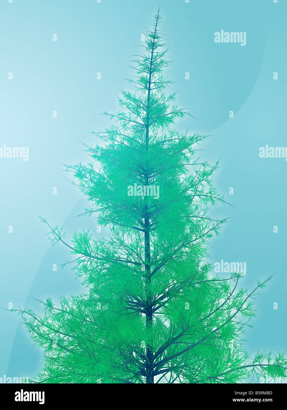 Illustration of pine tree rendered sillhouette against gradient Stock ...