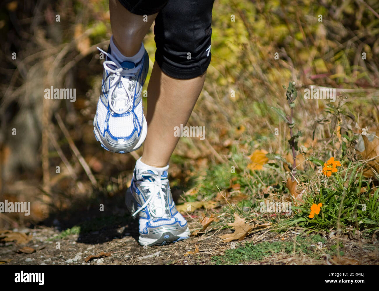 Close-up of woman trail runner's feet passing wildflowers Stock Photo ...