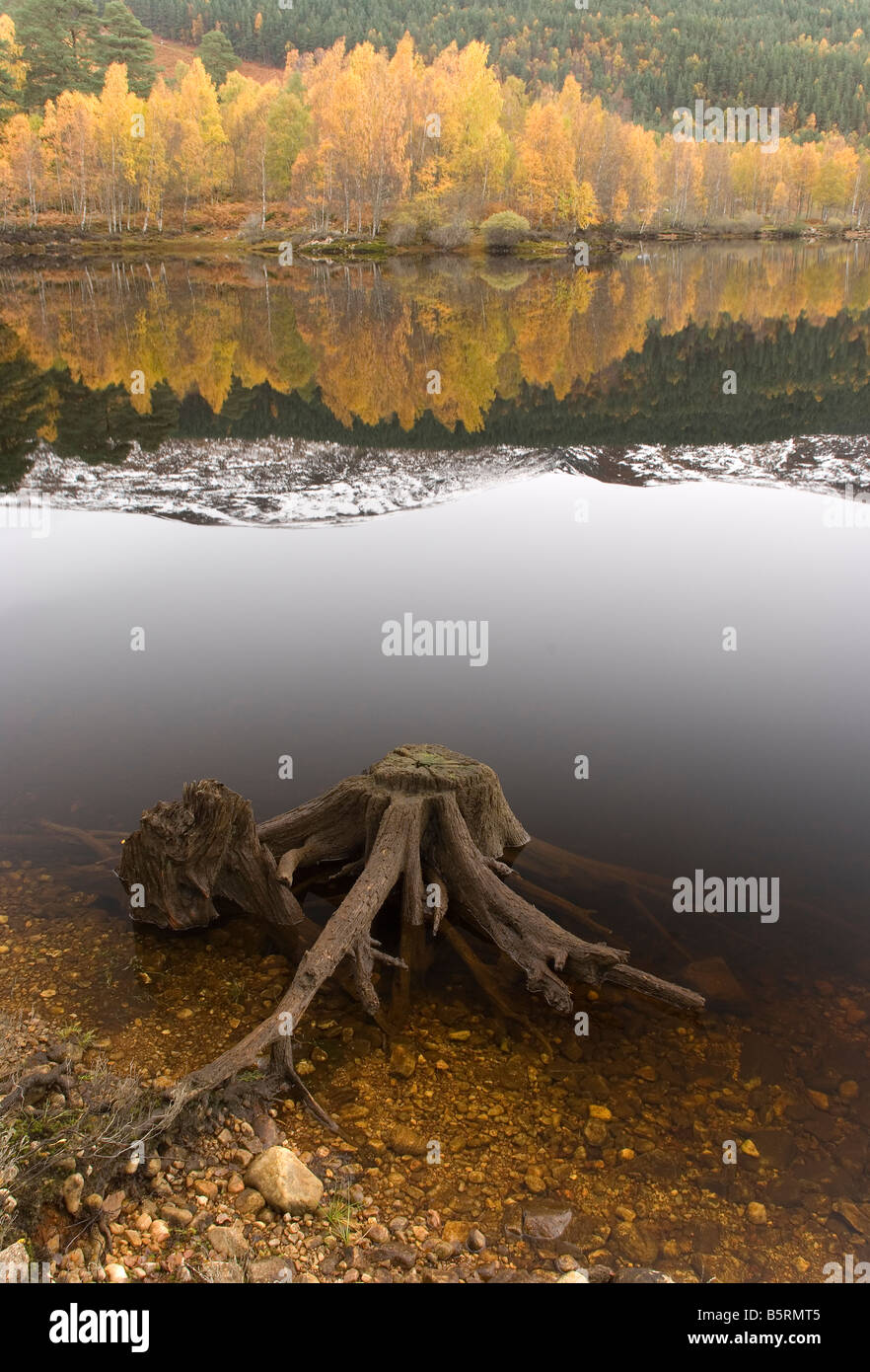 Scottish autumn scenery hi-res stock photography and images - Alamy
