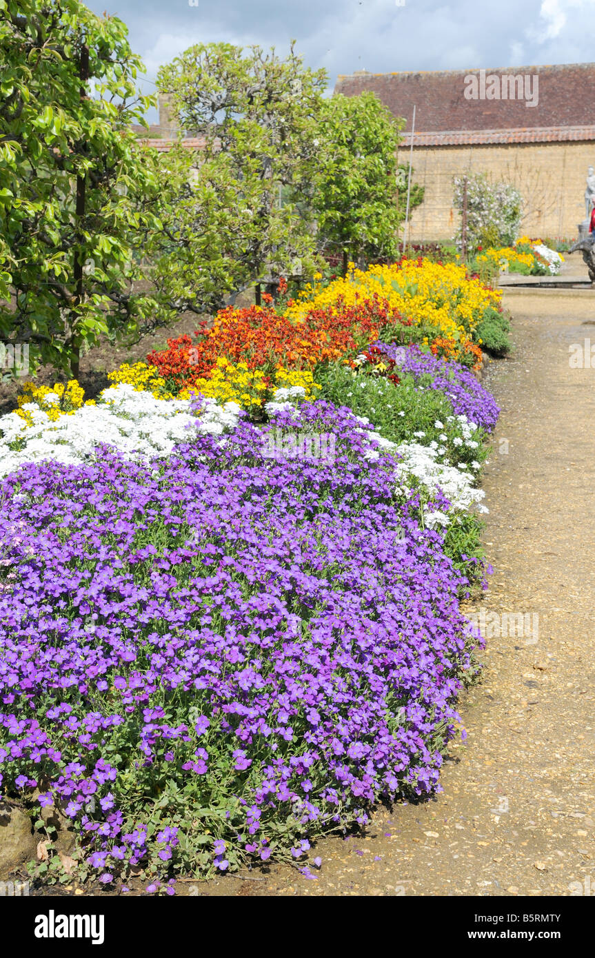 Mixed Plants Multi Coloured Summer Border Stock Photo - Alamy