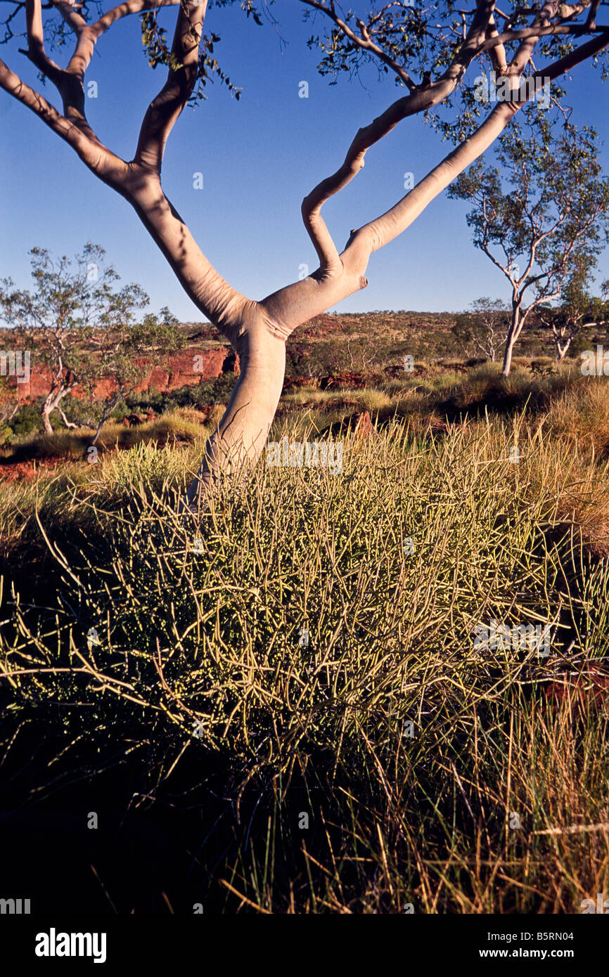 outback Queensland Australia Stock Photo - Alamy
