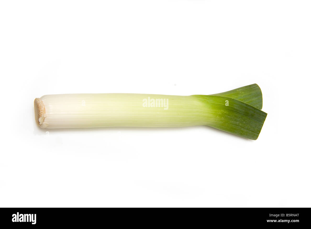 Leek isolated on a white studio background Stock Photo - Alamy