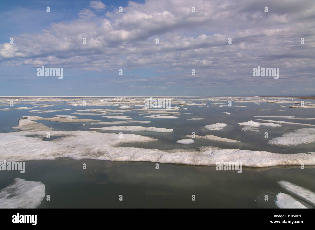 melting shorefast ice in the Beaufort Sea Arctic Ocean off the coast of ...