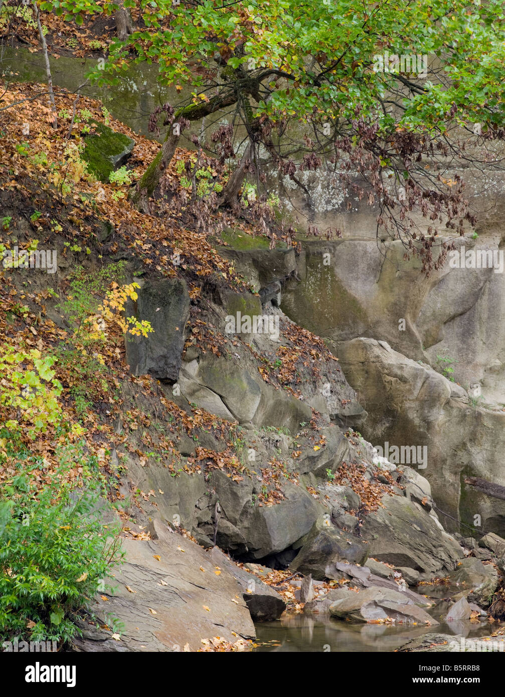 sandstone cliff, Ledges State Park, Iowa Stock Photo - Alamy