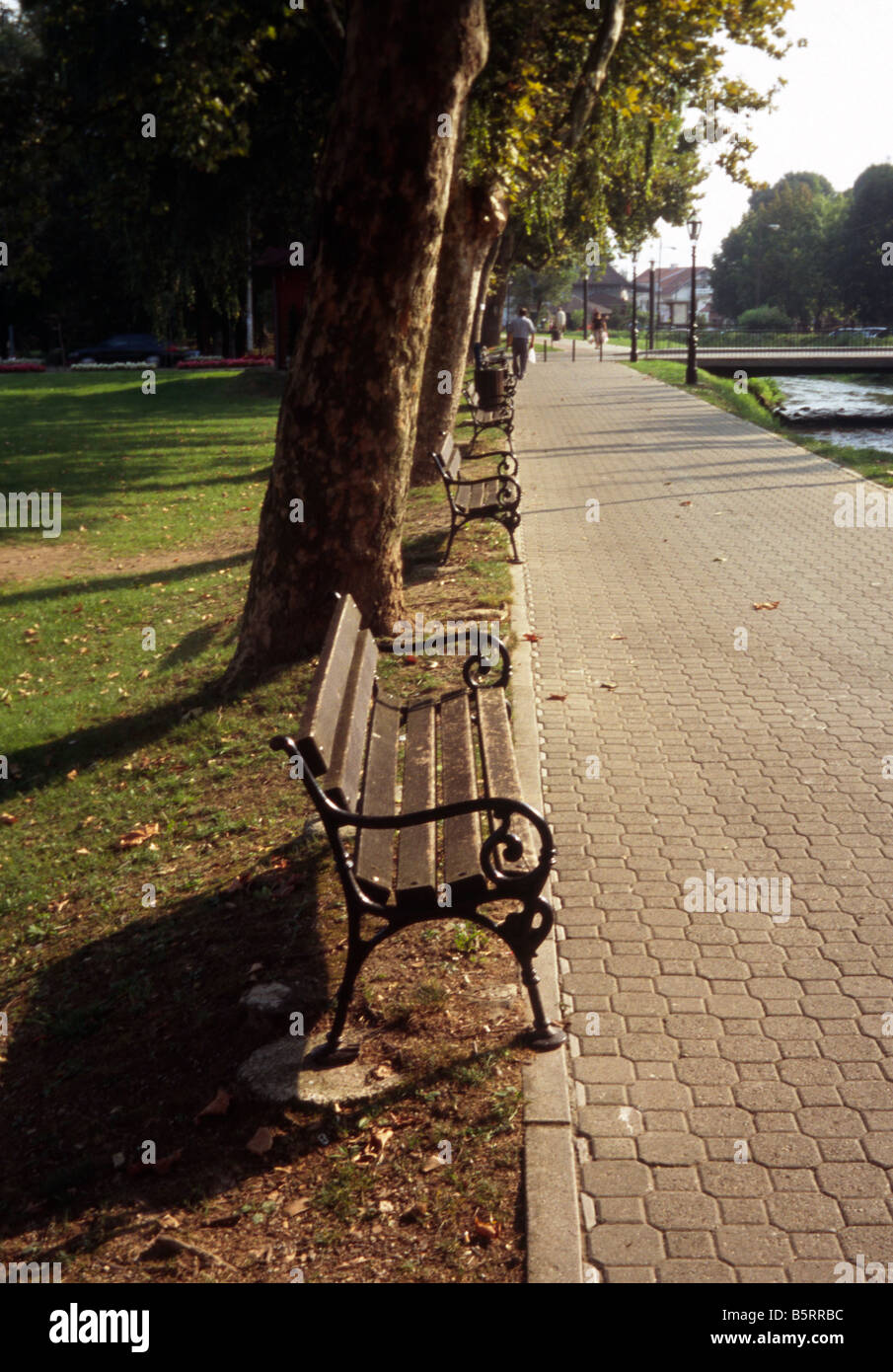Street bench in early autumn Stock Photo - Alamy