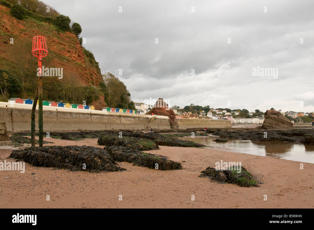 Dawlish coast hi-res stock photography and images - Alamy