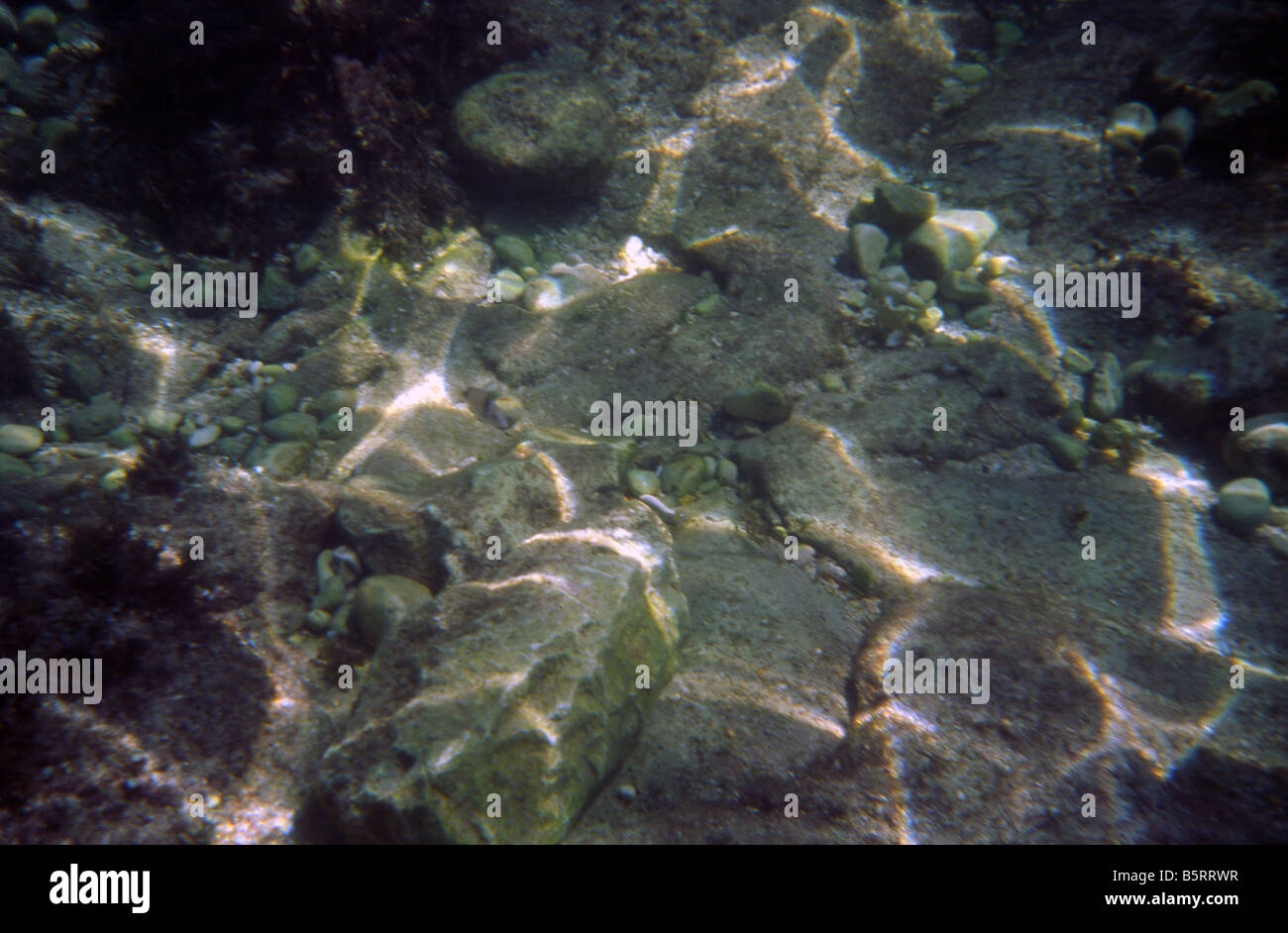 Sea bottom underwater photo Stock Photo - Alamy