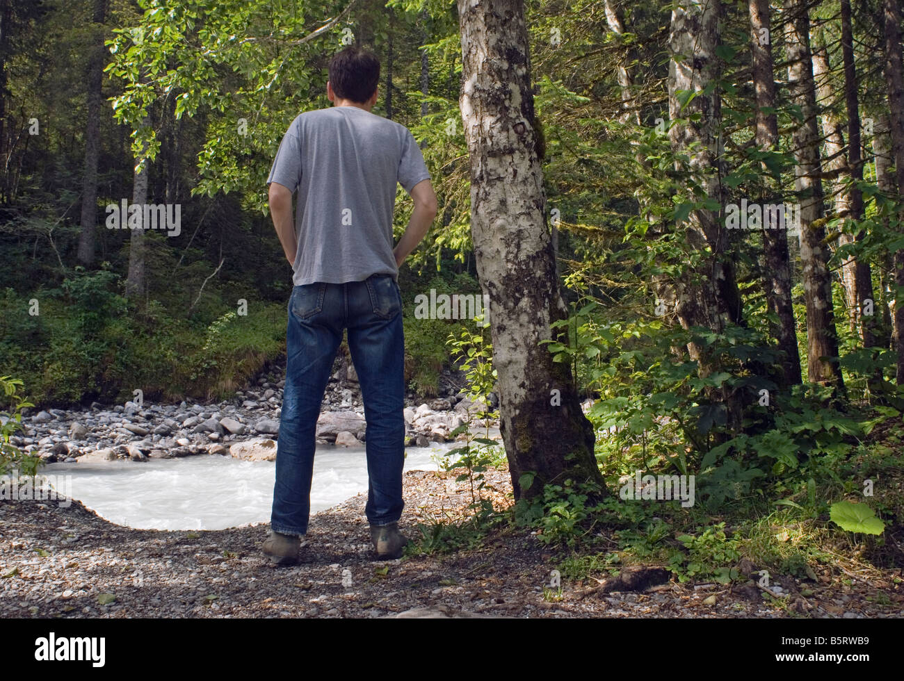 young man watching at stream in the forest Stock Photo - Alamy