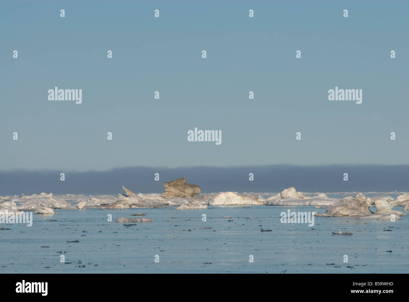melting shorefast ice in the Beaufort Sea Arctic Ocean off the coast of ...