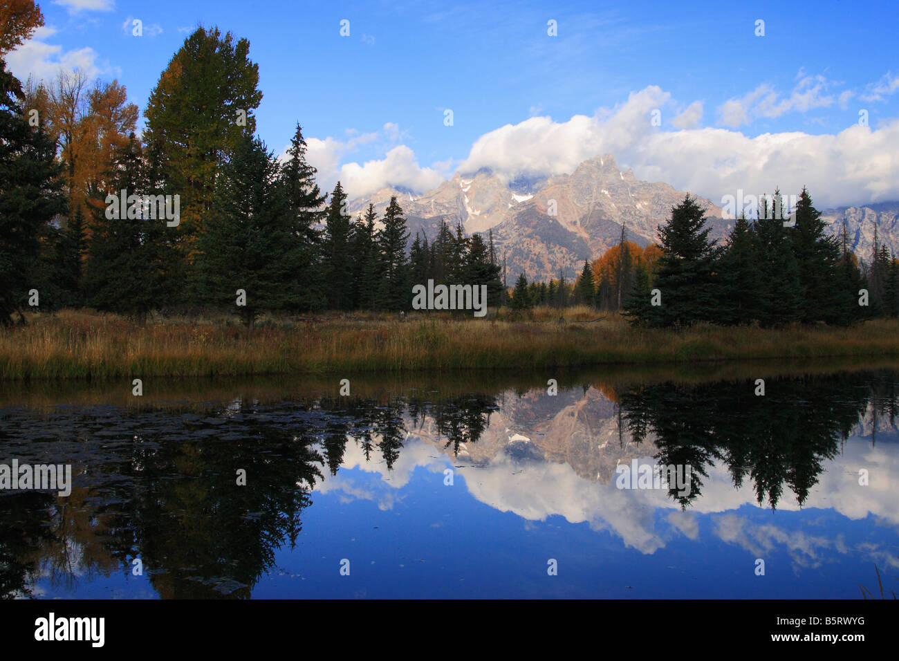 Schwabacher landing beaver pond hi-res stock photography and images - Alamy